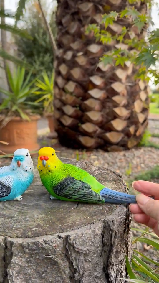 2x Budgie Parrot Bird Figurine Parakeet Birds Statue Garden Ornament ...