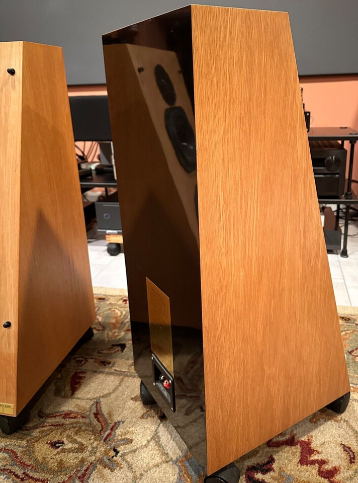 JSE Infinite Slope Model 1 Floor Standing Speakers | eBay