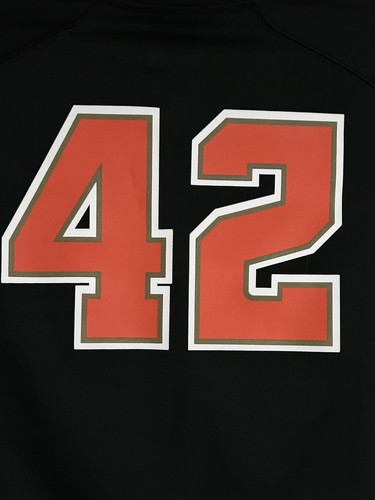Oregon State Beavers #42 YOUTH Boys Small Black Nike Game Football ...
