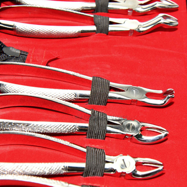 10pcs/set Dental Forceps for Adult Tooth Forceps Tools Dental ...