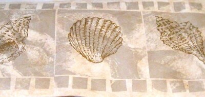 Wallpaper Border Beach Gold Conch Shell Gray Beige Wall Conch Shells ...