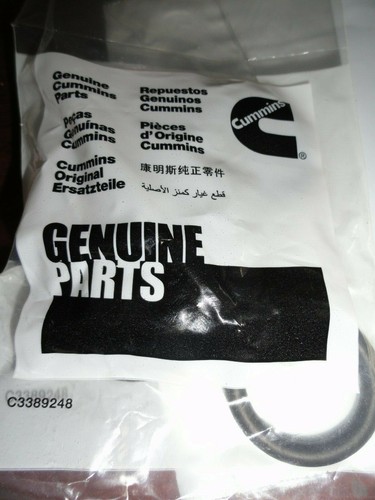 1 OEM CUMMINS 3033915 SEAL,O RING FREE 1ST CLASS SAME DAY SHIPPING | eBay