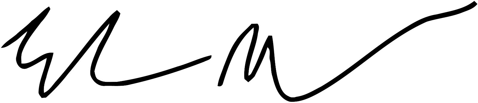 Tesla Elon Musk Signature VINYL DECAL Model 3 S X BLACK 9x2 inch Dash ...