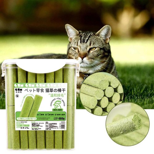 Cat Grass Teething Stick Cat Grass Teething Stick Cuddles and Meow ...