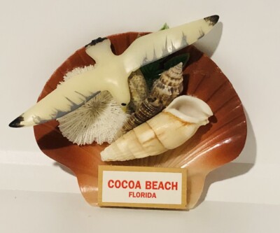 Cocoa beach, Florida Shell Refrigerator Magnet With Bird & Assorted ...