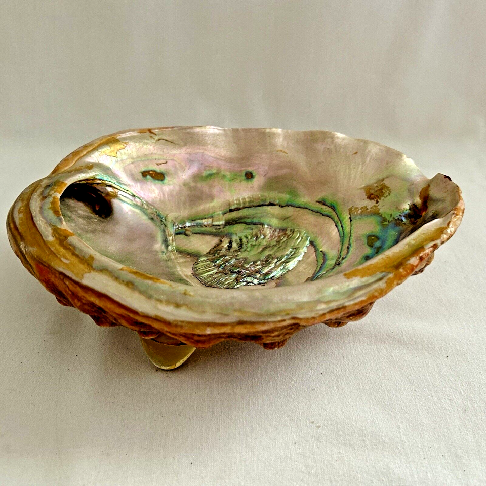 Natural Abalone Seashell Smudging Dish Bowl Footed Incense Burner | eBay