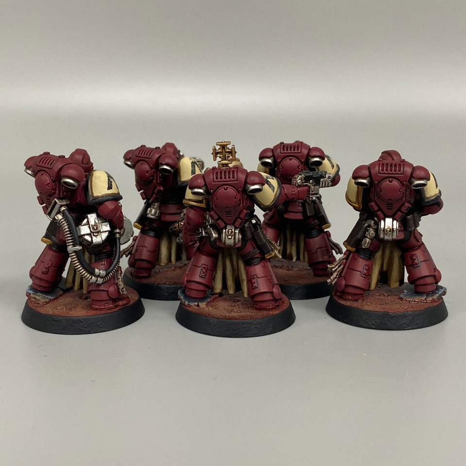 5 STERNGUARD SPACE MARINES WARHAMMER 40,000 PRIMARIS BLOOD RAVENS 40K ...