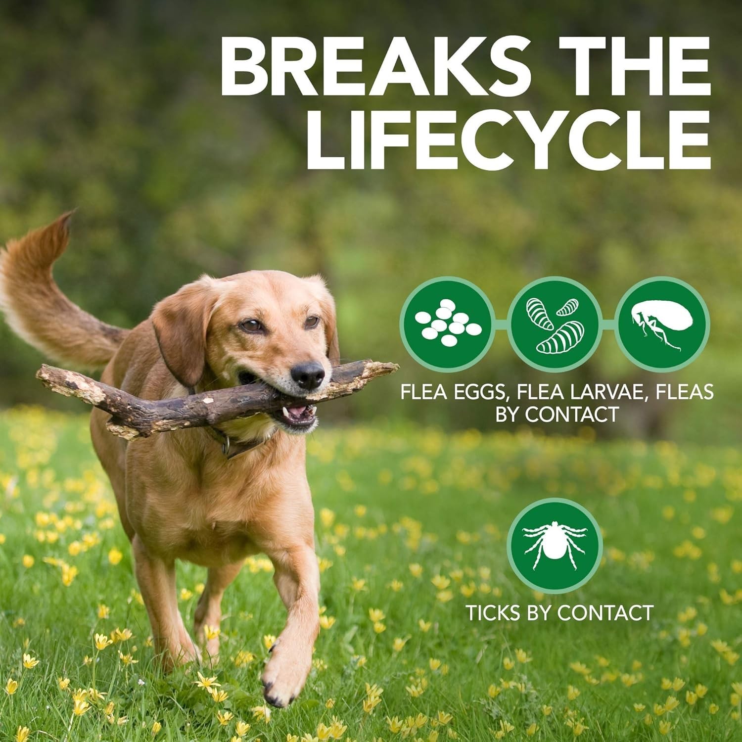 Vet's Best Flea Tick and Mite Flea Treatment Spray for Dogs Plant Based ...