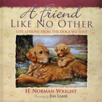 A Friend Like No Other - Paperback By H Norman Wright - VERY GOOD | eBay