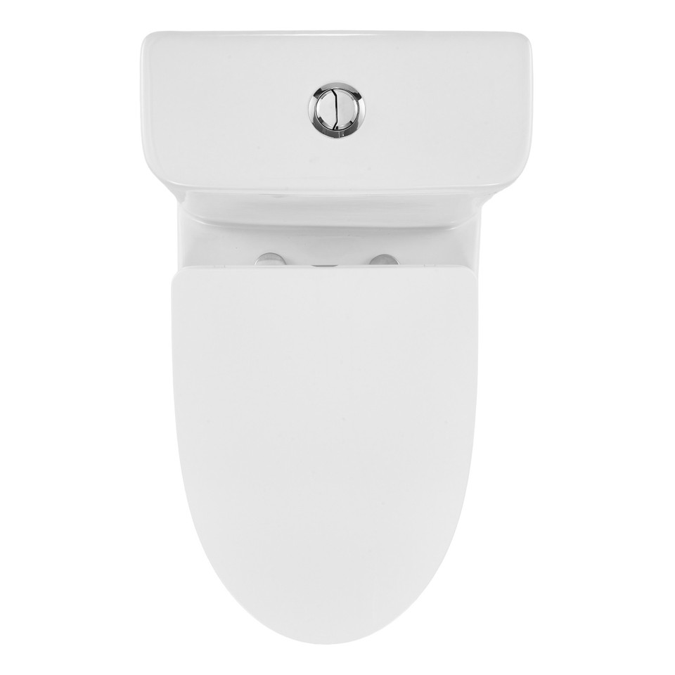Uimoso One Piece Toilet Bathroom Compact Dual Flush 1.0/1.28 GPF 14.3L ...