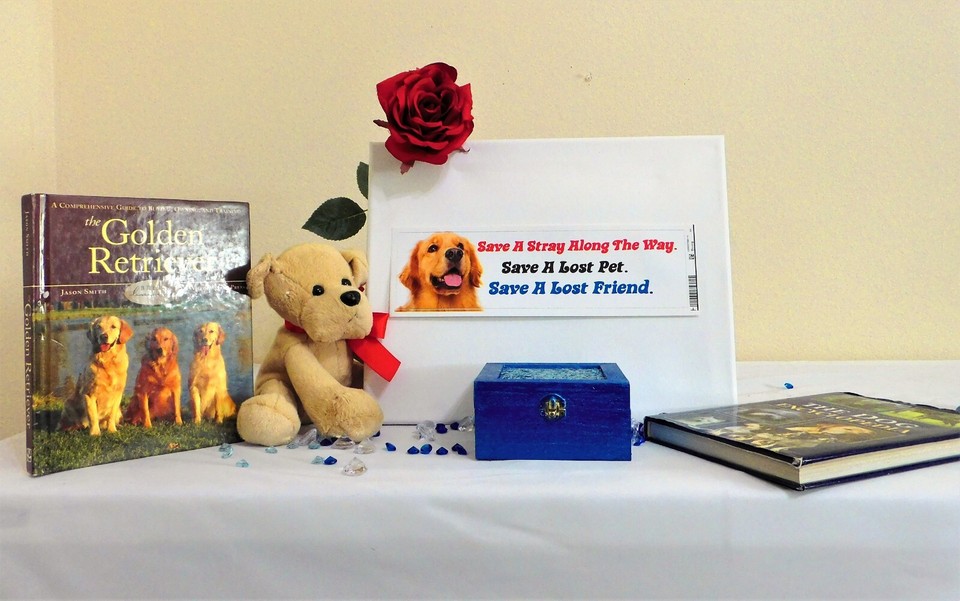 Pet Bumper Sticker 3in W x 11in L " Save A Stray Along The Way. Save A ...