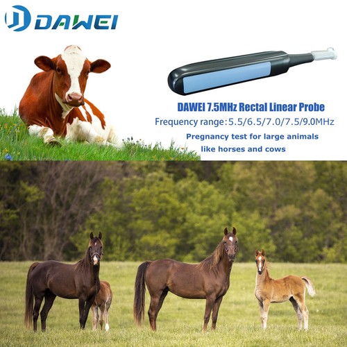 DAWEI Handheld Veterinary Ultrasound Machine Rectal Probe for Horse ...