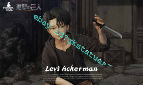 Freedom Studio Attack on Titan Child Levi·Ackerman Resin Model 19*15*11 ...