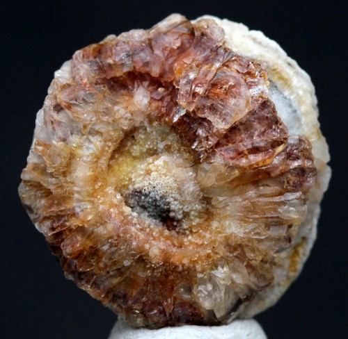 CHALCEDONY AGATE ROSETTE Concha Rose Mineral Druzy Crystal Cluster ...