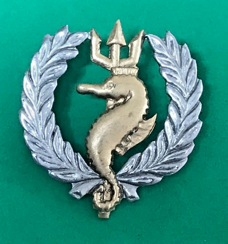 SOUTH AFRICAN NAVY AIR/SEA RESCUE BADGE - independent ships | eBay