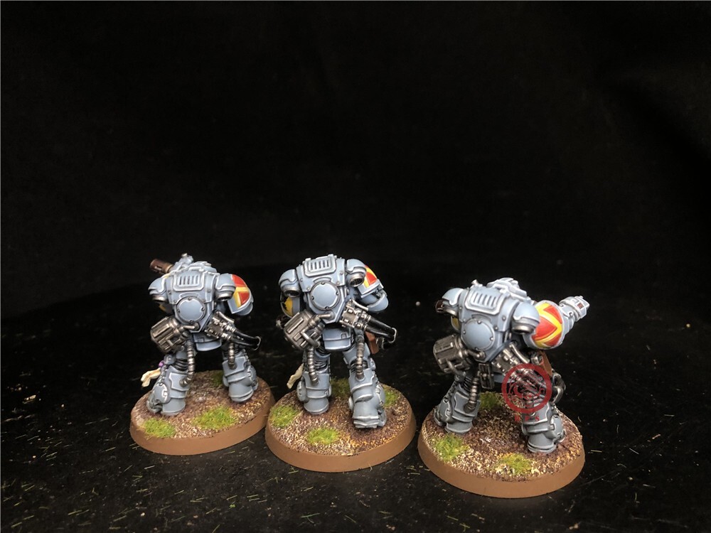 Warhammer 40K DPS painted Space Wolves Primaris Eradicators SK5695 | eBay