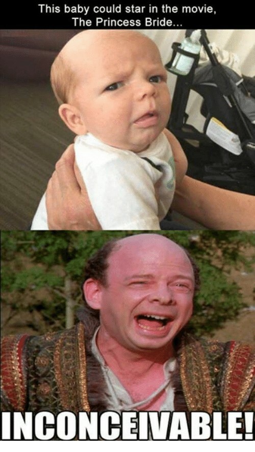 Princess Bride Meme Inconceivable