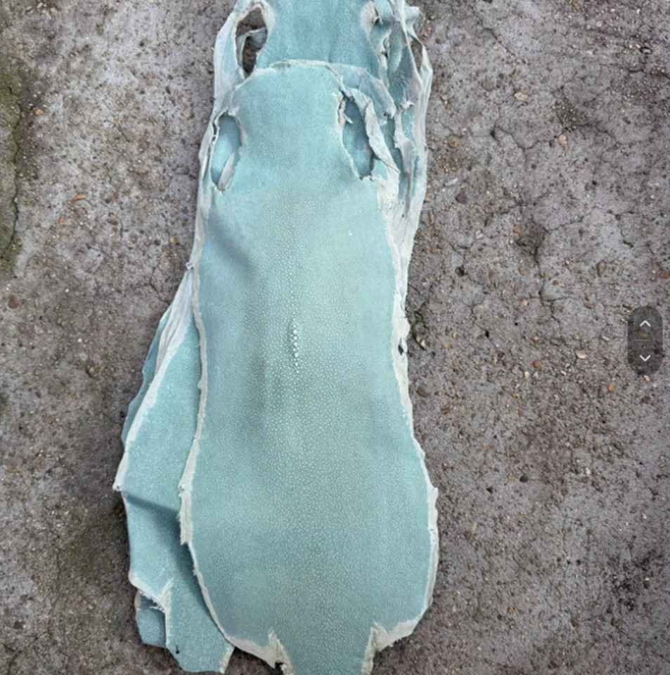 1PCS Real Unpolished Stingray Shagreen Fish Skin Leather Hide Pelt ...