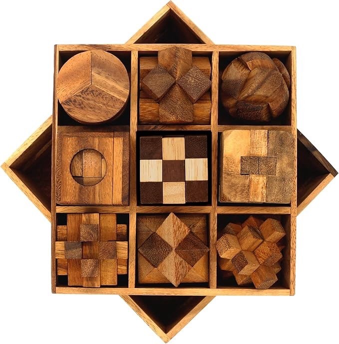 9 in 1 Wooden Brain Teaser Puzzles Box Set for Adults Teens and Kids ...