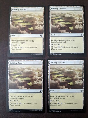 4X DRIFTING MEADOW - Magic The Gathering MTG Collectible Card game ...