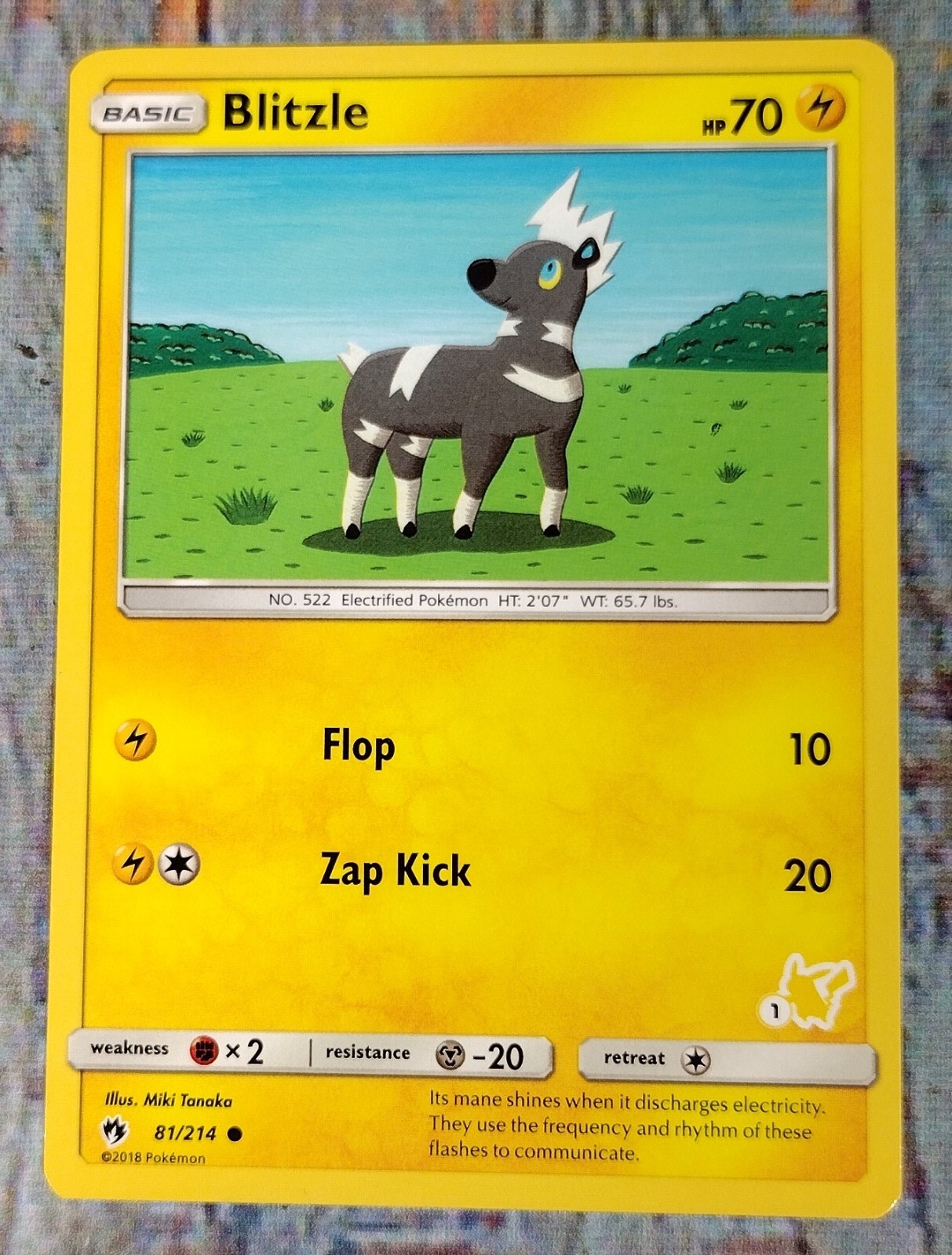 BLITZLE Basic Pokemon Card 2018 Lost Thunder 81/214 Common Trainer Kit ...