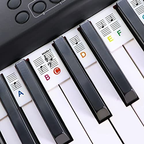 Removable Piano Keyboard Note Labels for 88 Key Full Size Silicone ...