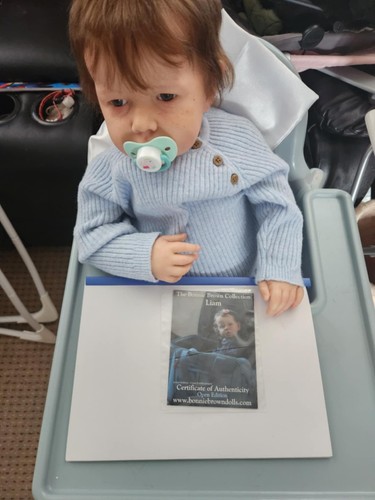 Liam reborn toddler by Bonnie Brown sculpted by master artist Tracy ...
