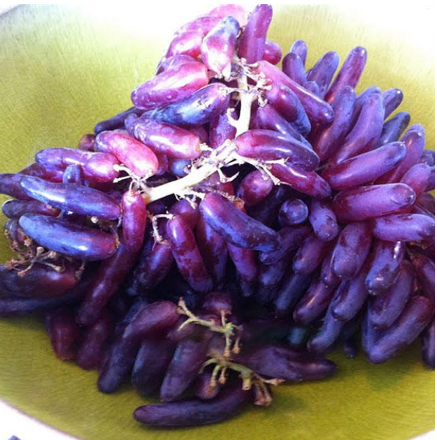 50Pcs Finger Grape GerminatingSeeds Berry 4 Kinds Garden Tasty ...