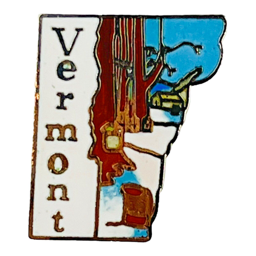 Vintage Vermont State Map Lapel Hat Pin Travel Souvenir Maple Tree | eBay