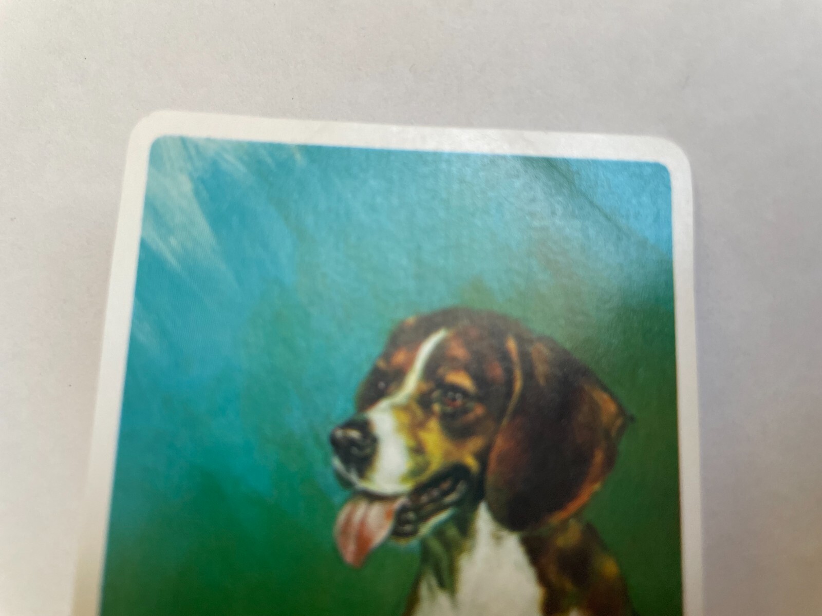 Beagle Puppy Dogs Twins Portrait Vintage 70s Retro Art Artist Artwork ...