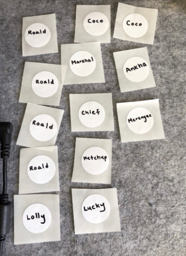 Apollo Amiibo - Animal Crossing - Plain Sticker | eBay