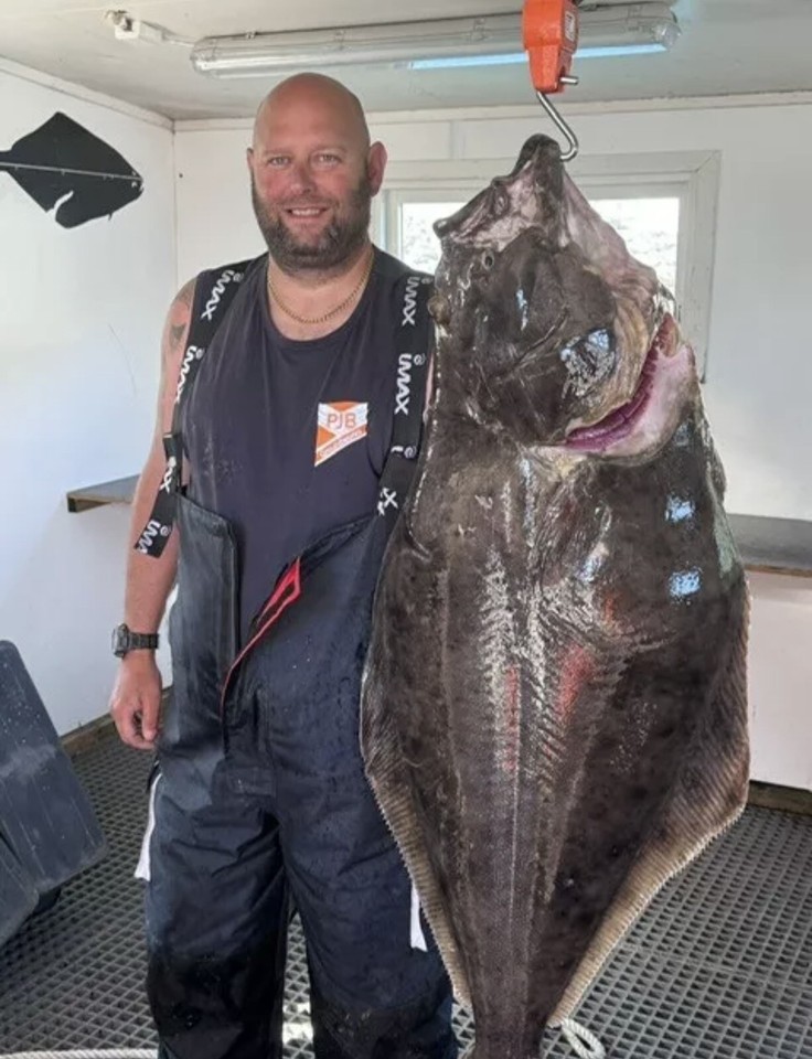 NORWAY 20oz BULLSEYE BALL LURE, HALIBUT AND COD LIVEBAIT LURE | eBay UK