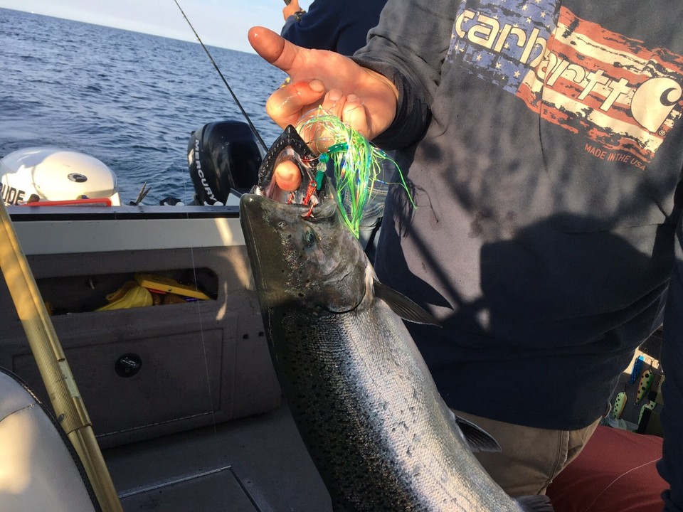 High Percentage Salmon Trolling Rigs- Bait/Meat Rig Completing Kit W ...