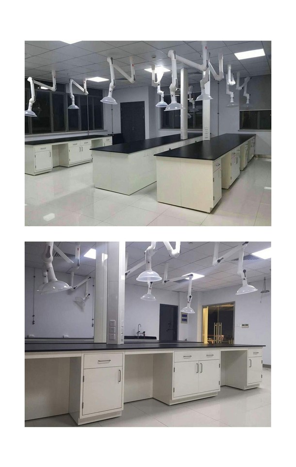 Snorkel, Laboratory Exhaust Vent, Extractor Fume Hood Pre-Owned, Fume ...