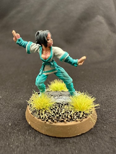 Yuri Female Monk 02731 Reaper Painted Metal Miniature Warrior ...