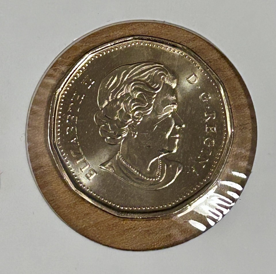 Canada $1 Loonie 2010 Sask. Roughriders From Mint Roll BU | eBay