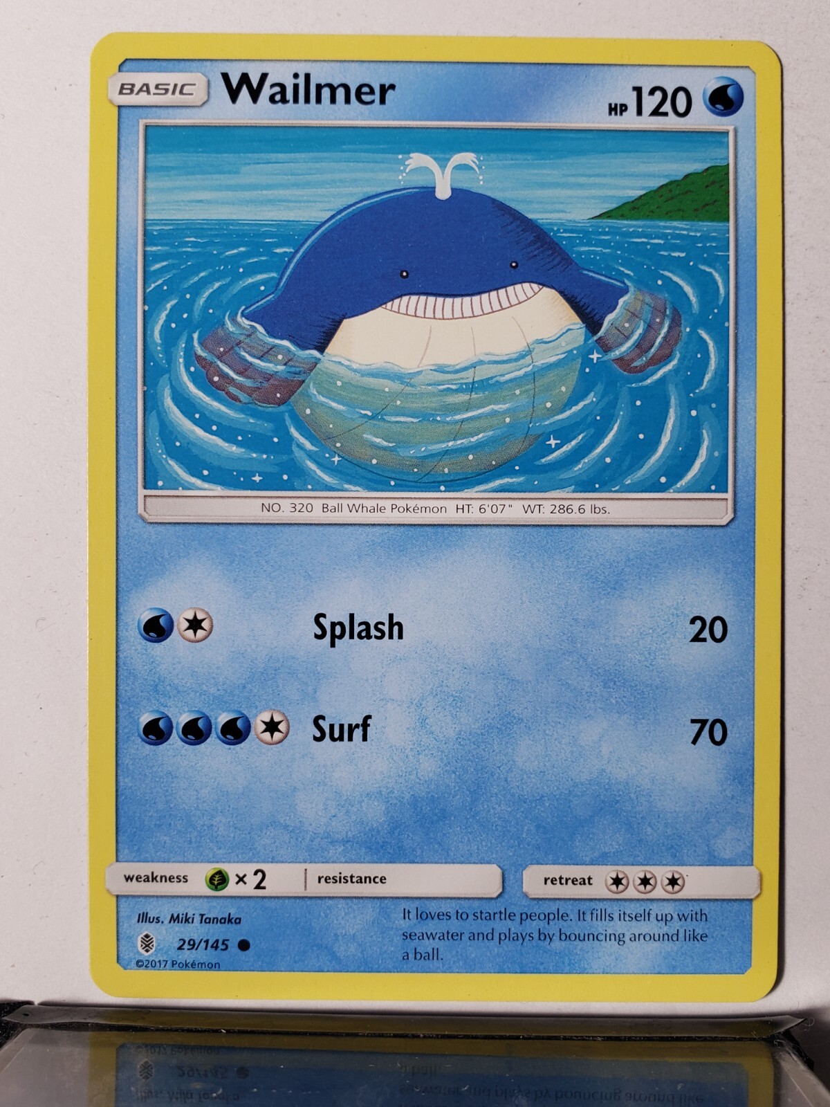Wailmer Card