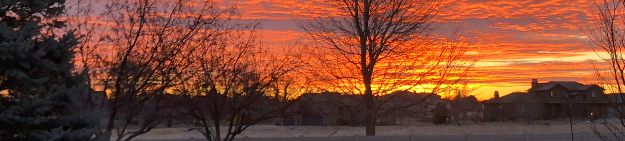 ROBYN BANX | eBay Stores