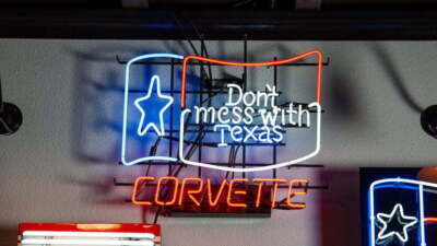 Don't Mess With Texas Lone Star Beer Neon Light Sign Lamp Bar Open ...