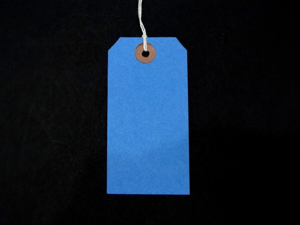 7 Colours Strung Tags 96m x 48mm String Tie On Reinforced Labels Craft ...