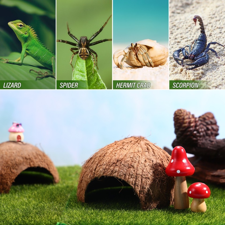 Pet Hide House Turtle Habitat Coconut for Reptiles Lizard Hideout | eBay UK