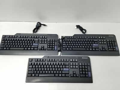 Lot of 3 Lenovo Black USB Keyboards KU-0225, SK8825 | eBay