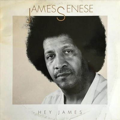 JAMES SENESE HEY JAMES NEW LP 8012432100014| eBay
