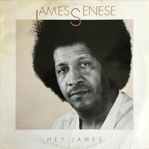 JAMES SENESE HEY JAMES NEW LP 8012432100014| eBay
