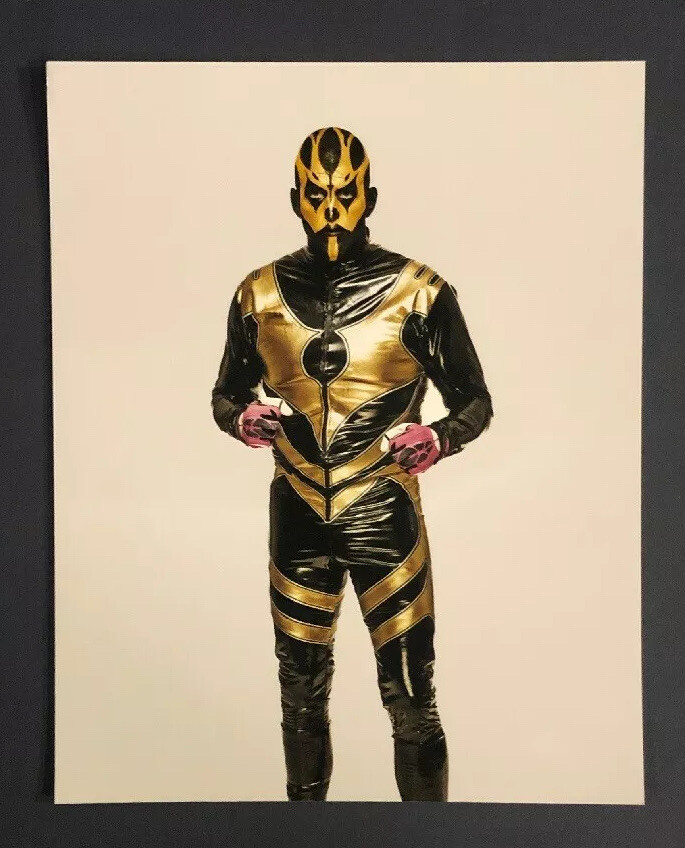 Wwe Goldust E Stardust Goldust And Fox Are The Most Adorable Thing In