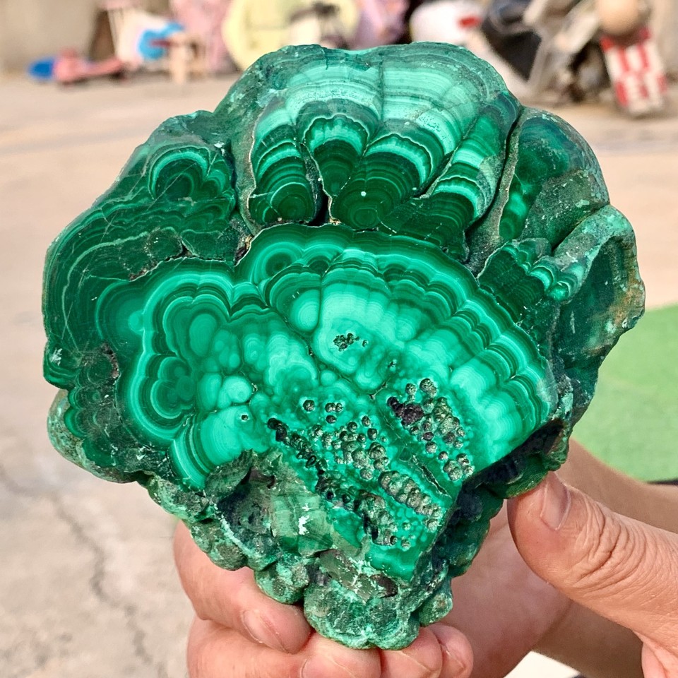 1.64LB Natural glossy Malachite transparent cluster rough mineral ...