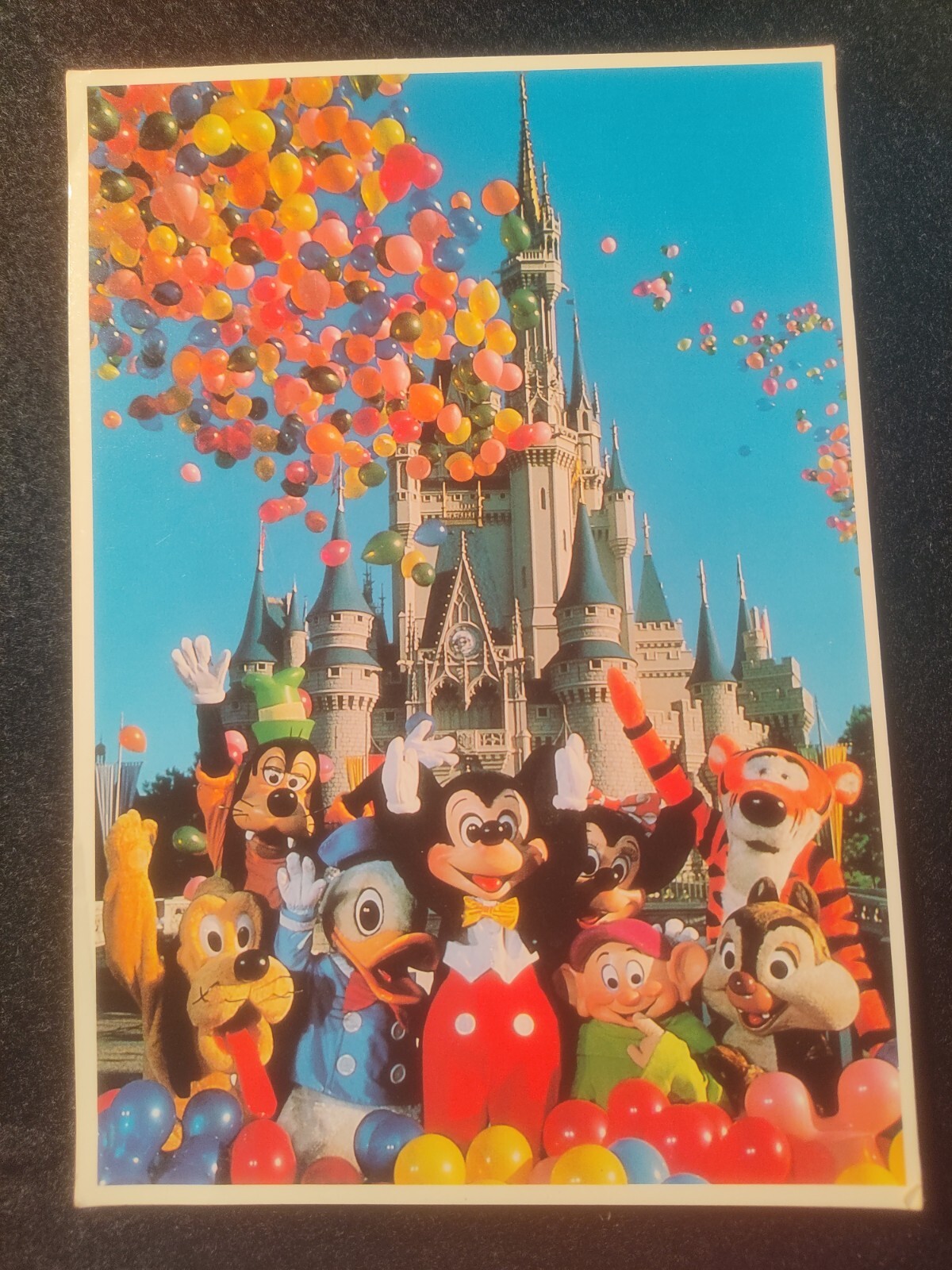 Walt Disney World Postcard Of Cinderella's Castle | eBay