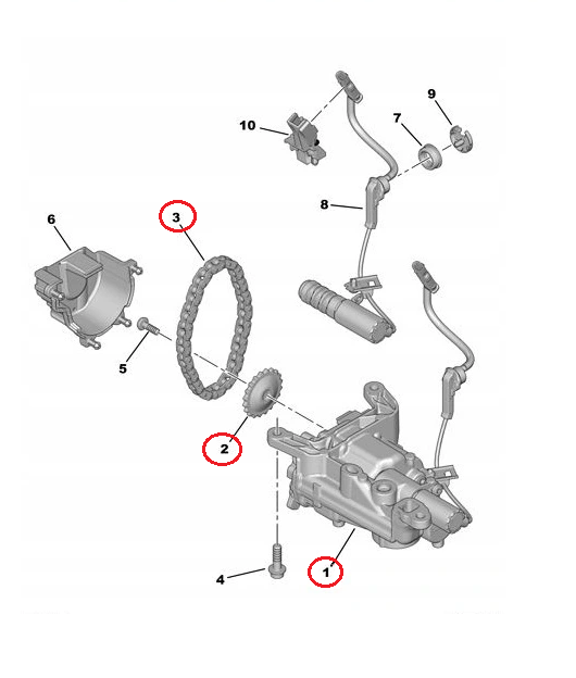 POMPE A HUILE & KIT DE CHAINE PIGNON CITROEN PEUGEOT 1.6 VTI/THP (OE ...