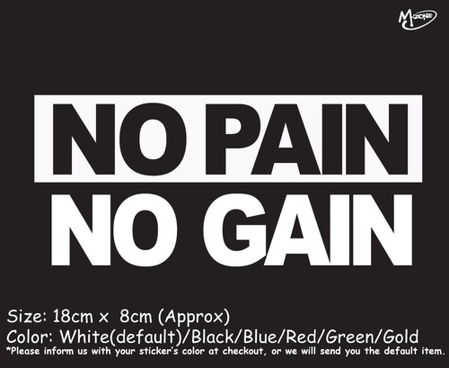 NO PAIN NO GAIN Reflective Funny Car Boat Stickers Decals best gifts ...