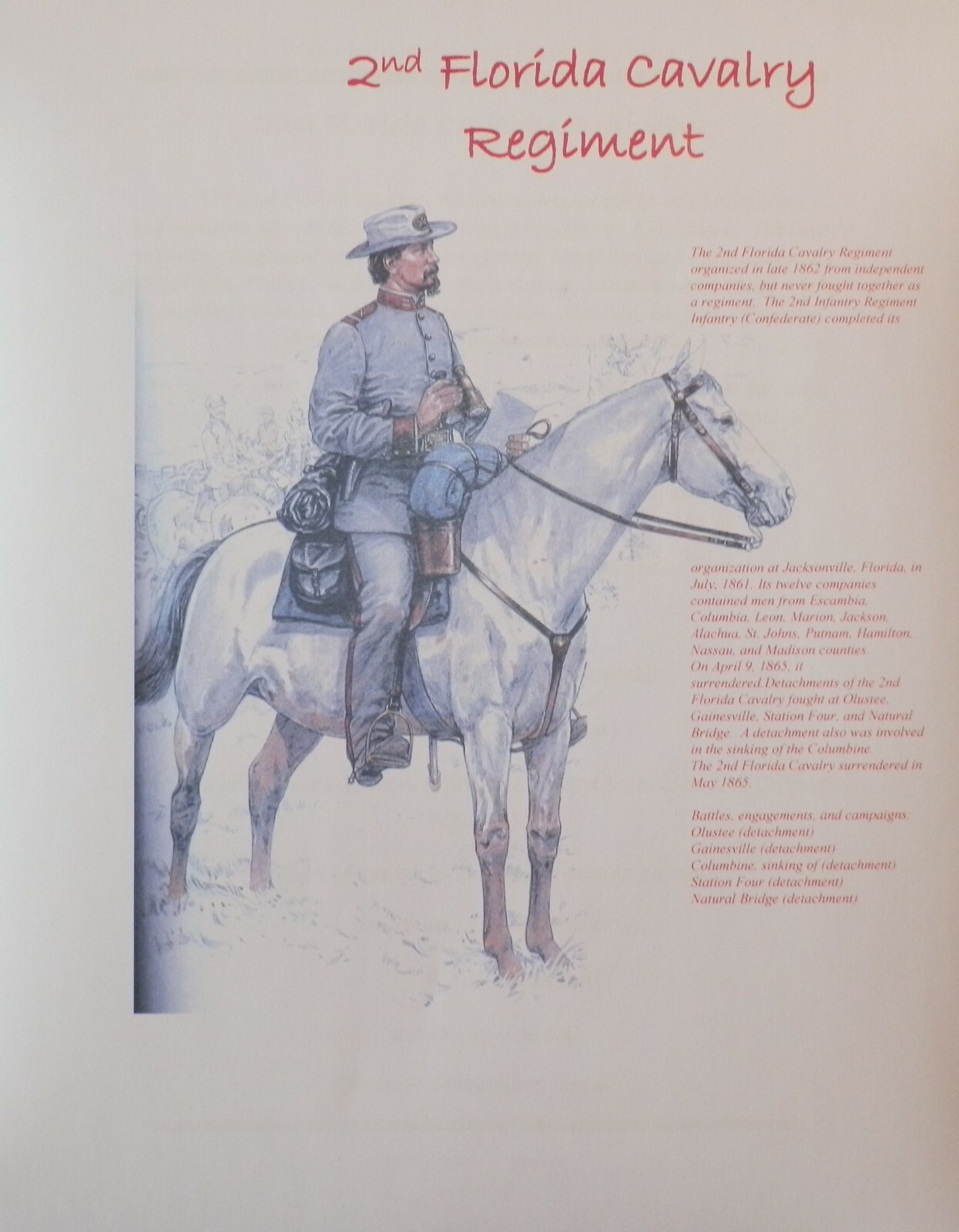 Civil War History of the 2nd Florida Cavalry Regiment (Confederate) | eBay